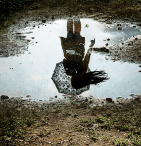 EURYDICE | Signature Theatre